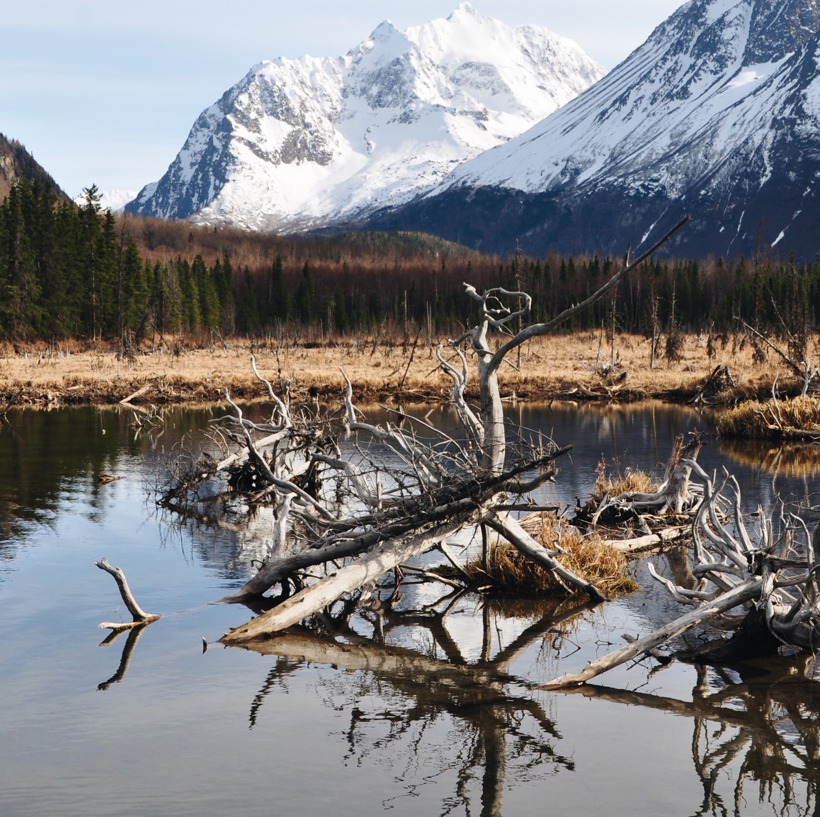 Heart Alaska: Eagle River Nature Center: Albert Loop Trail