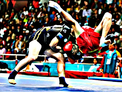 INSTITUTO LI HON KI ARGENTINA: ¿Qué es Sanda?