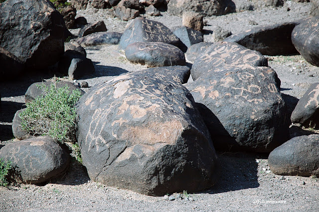 Happy Trails: On the road ro Ajo AZ