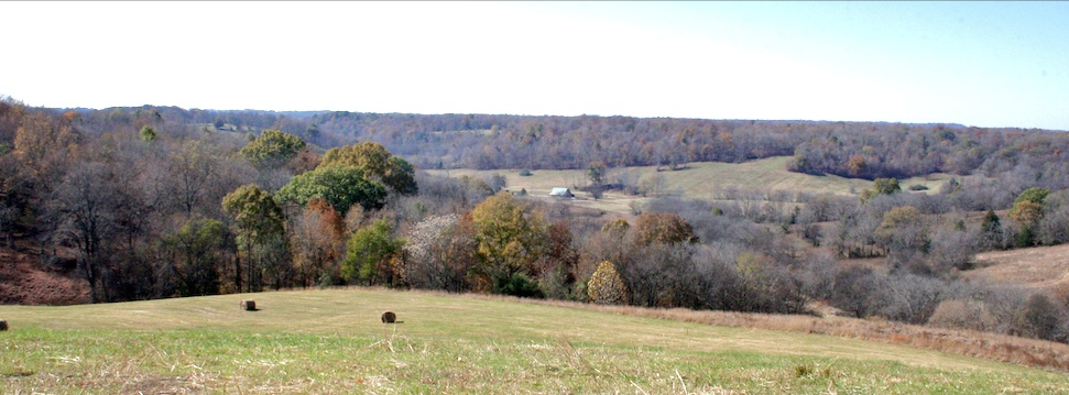 You are cordially invited to Bella Rustica. See you there! - Funky Junk ...