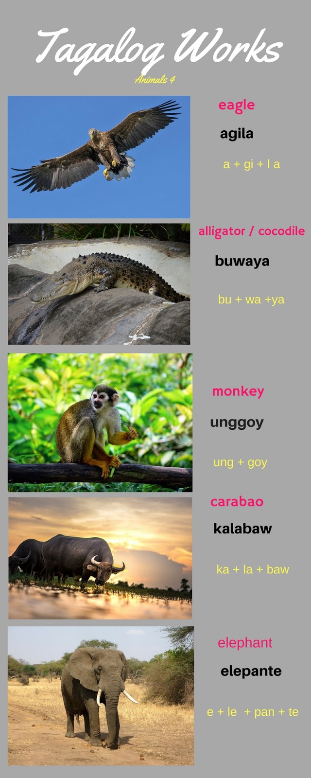 Animals in Tagalog
