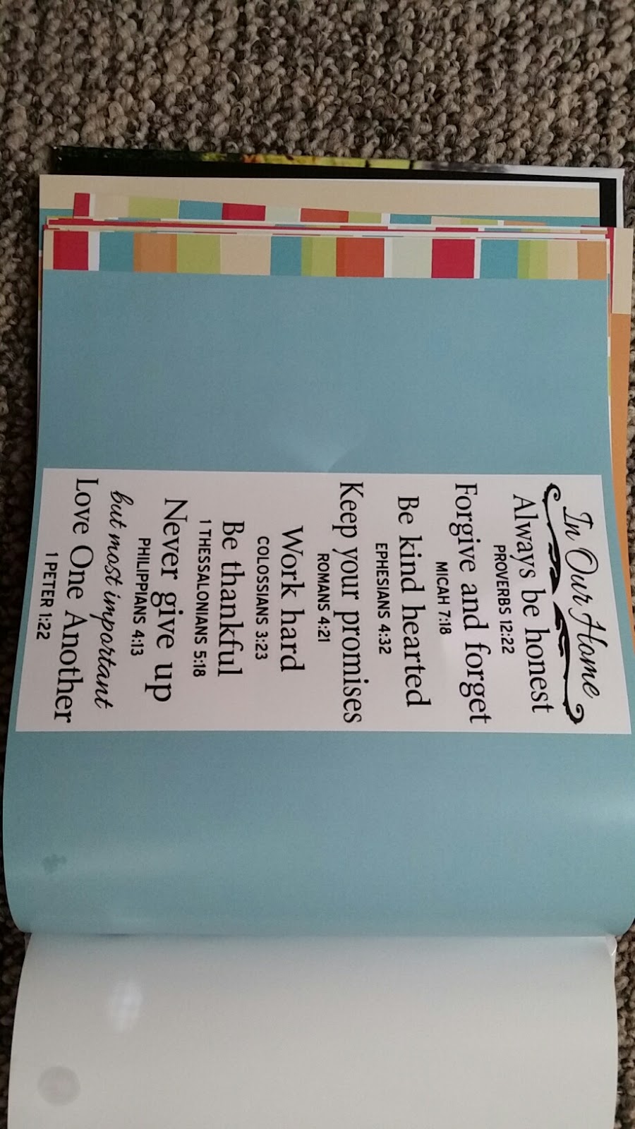 The Farrell Flock: Foster Care to Adoption: The Welcome Book