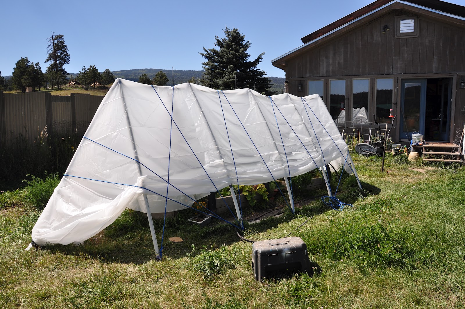 More on the Poly Tunnel Experiment
