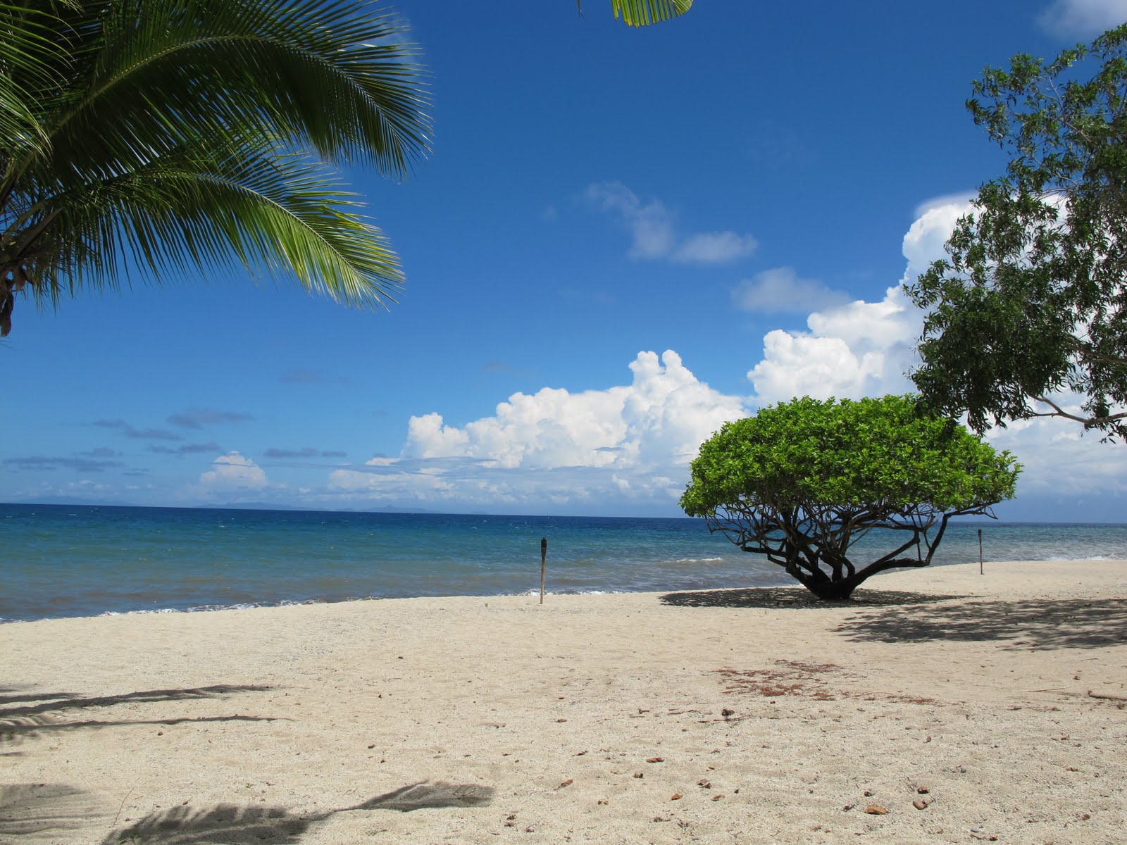 Leo Adonis Posadas: Wedding: MELANIE CALUMPAD a.k.a. KYLA: A MOMENT OF ...