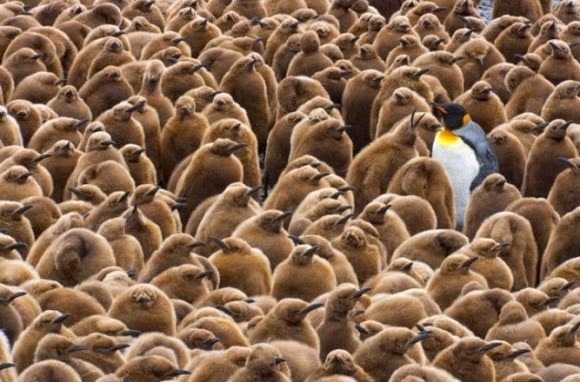 most unique things in world