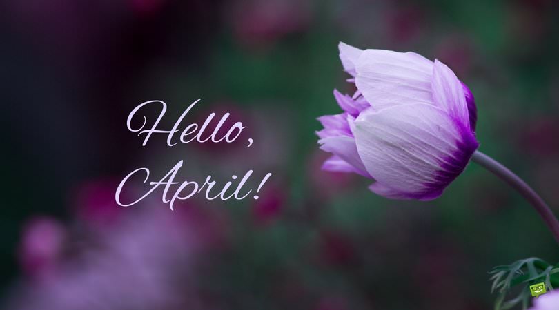 Hello April! Did You Bring Spring?