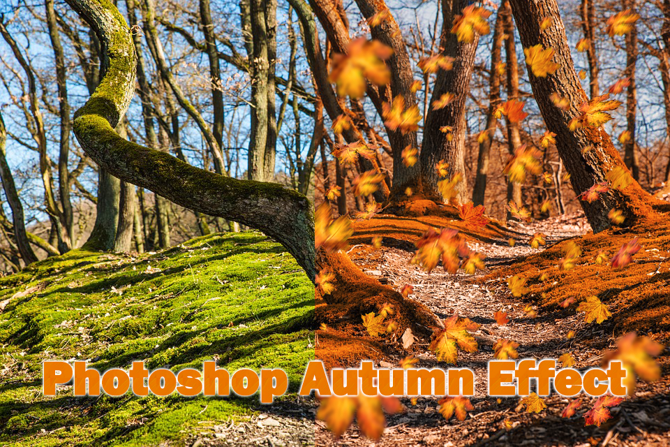 Photoshop autumn effect & Falling Leaves effect [ fast! ] | Value In Brief