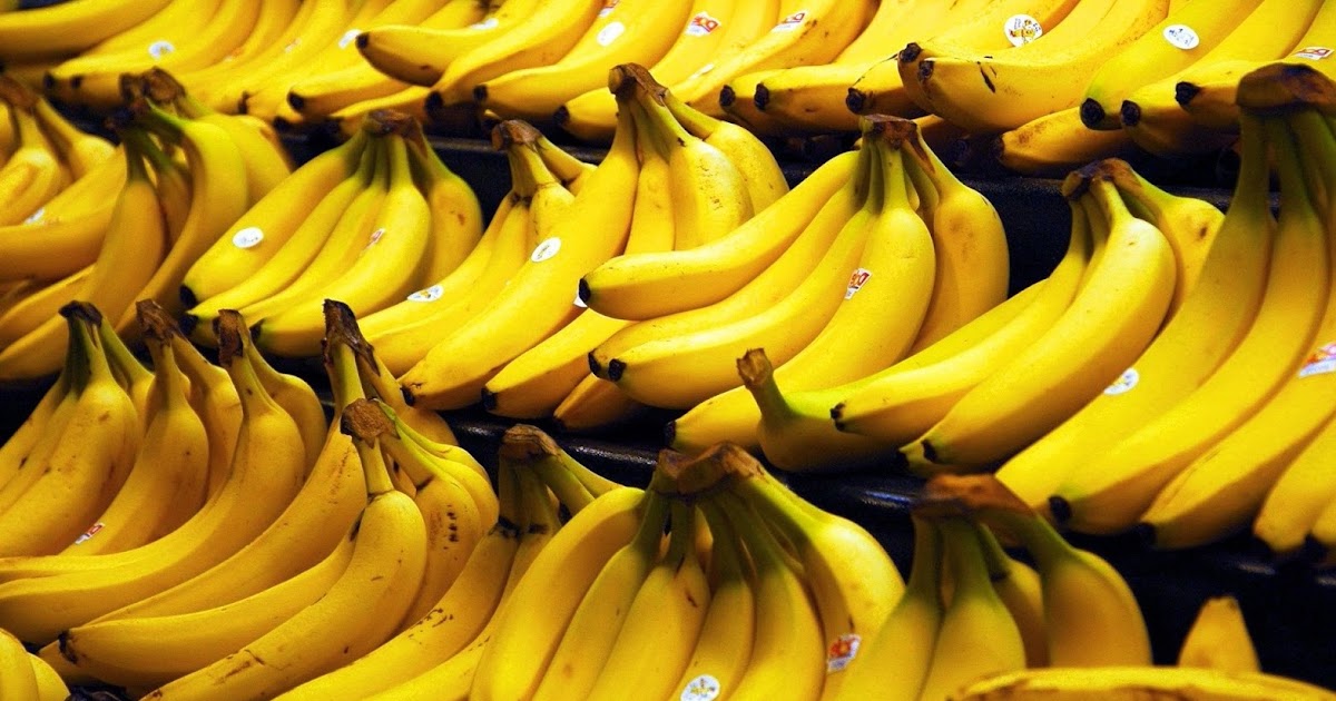 Ide Terkini 15+ Jenis Pisang Besar