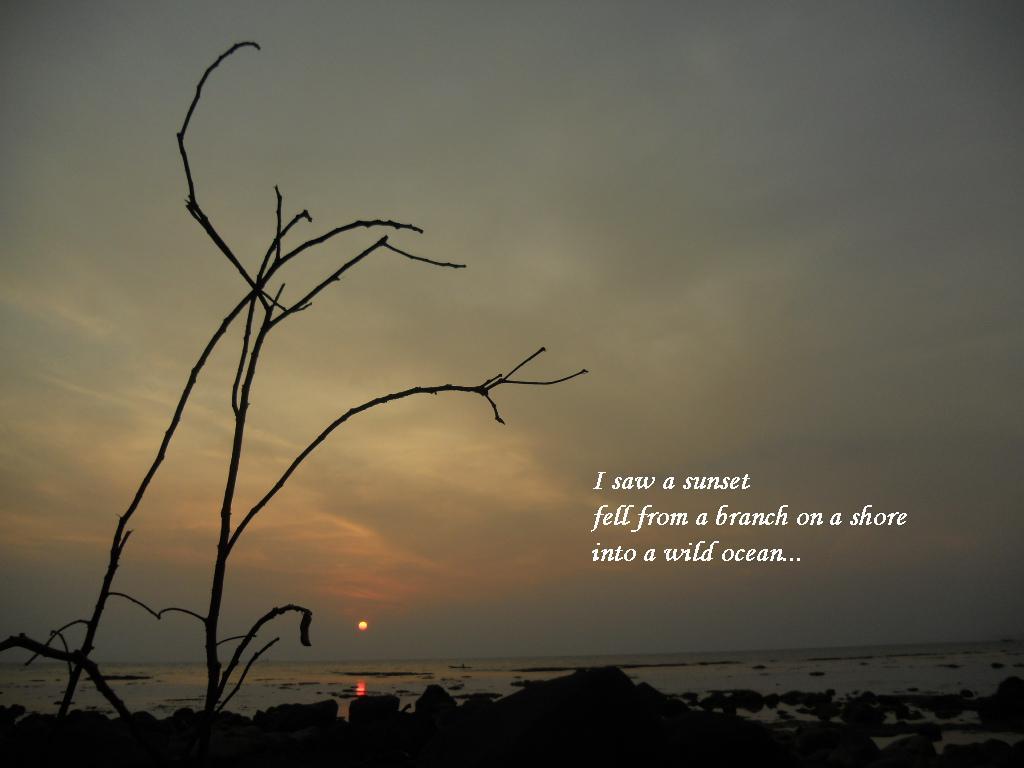 Purple Nook: Haiku: A Seed of Sunset