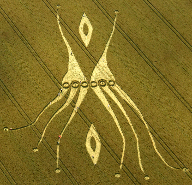 Charles Frith - Punk Planning: Unique Crop Circle/Pattern - Hill Barn ...