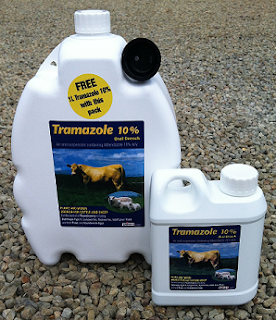 Magenta Direct: Tramazole White Drench Special Offer