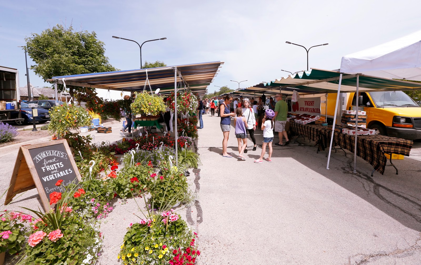 Mark Kodiak Ukena: Wilmette French Market