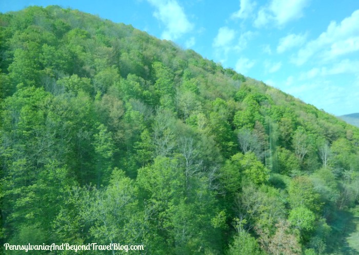 Pennsylvania & Beyond Travel Blog: Visiting the Allegheny National ...