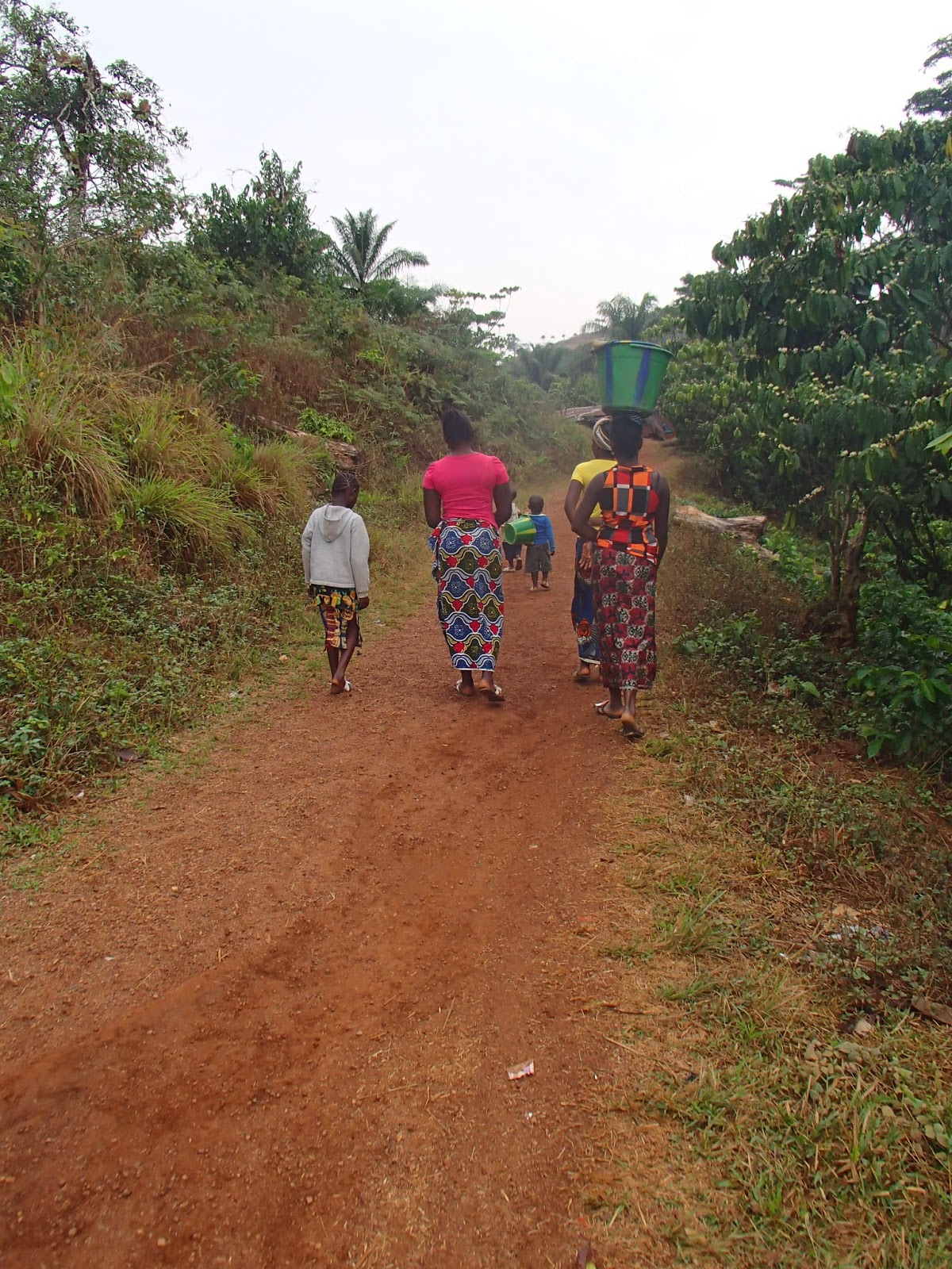 Beyond Ebola: Providing Emergency Healthcare in a Rural West African ...