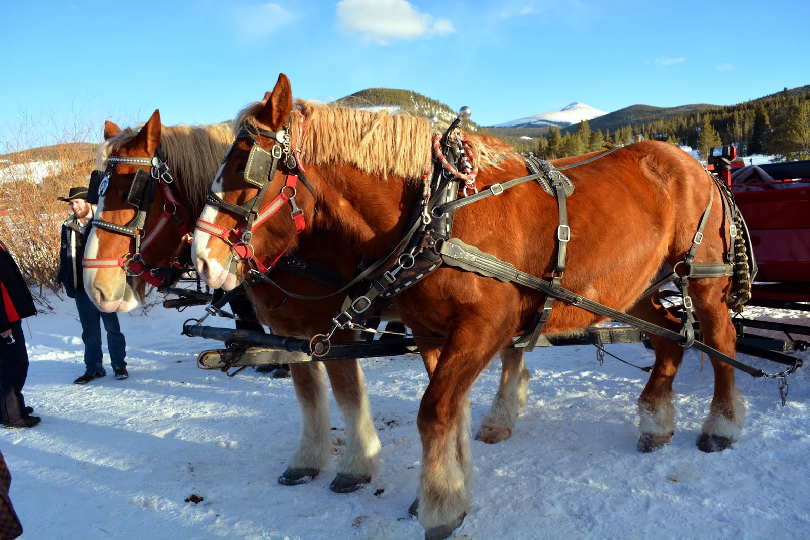 Mille Fiori Favoriti: Sleigh Ride in Breckenridge
