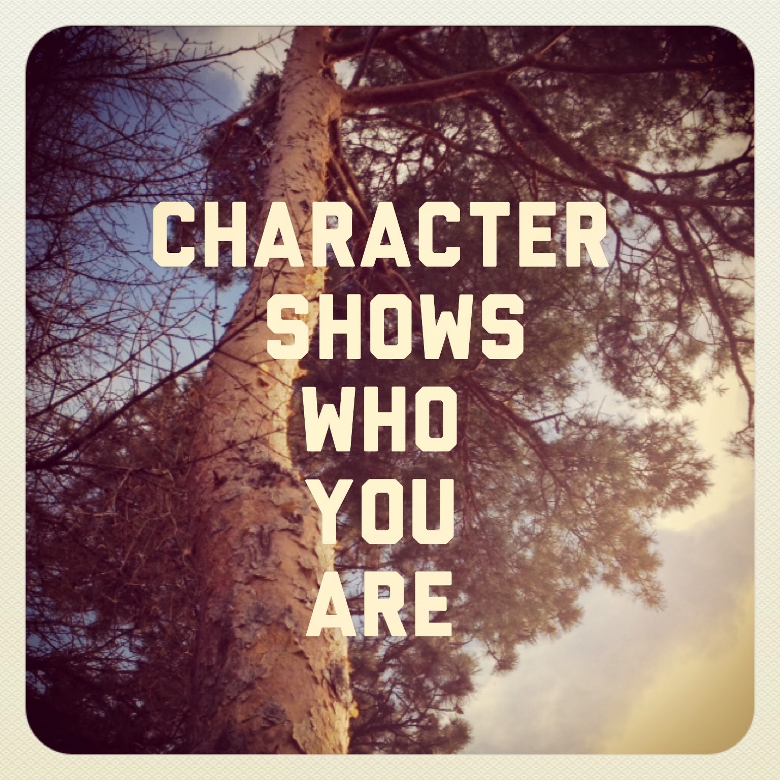 Character shows who you are