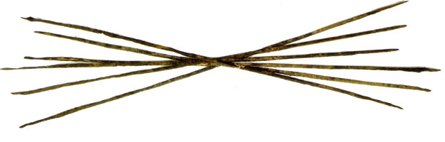 Kiwi Hellenist: Paying the iron price: Spartan money