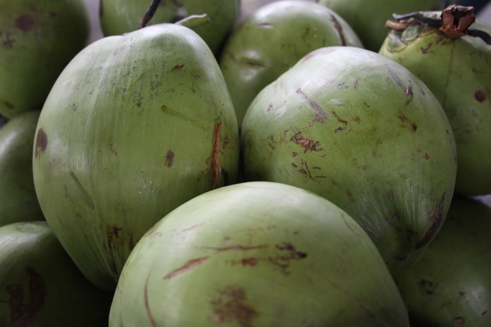 Conheça mais sobre o coco verde, o produto da semana