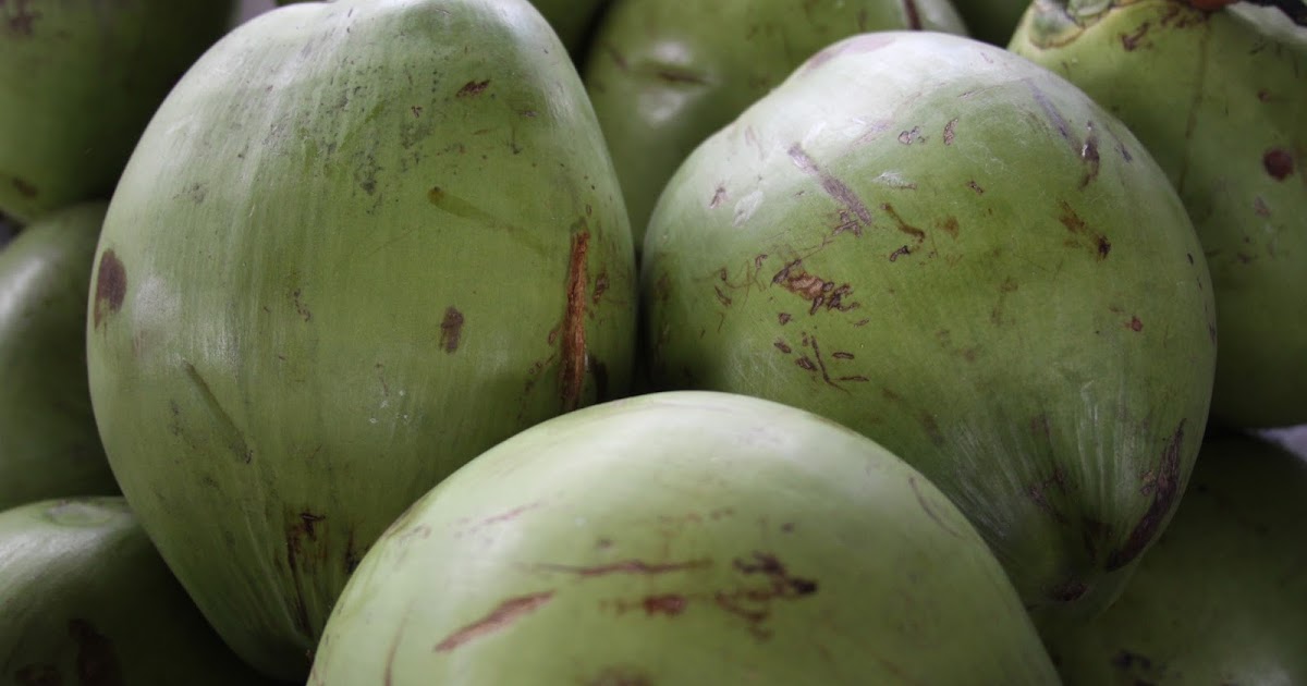 Conheça mais sobre o coco verde, o produto da semana