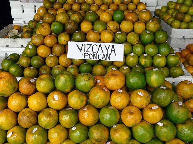 Simple Pleasures: Pinoy Fruits : Ponkan from Nueva Vizcaya