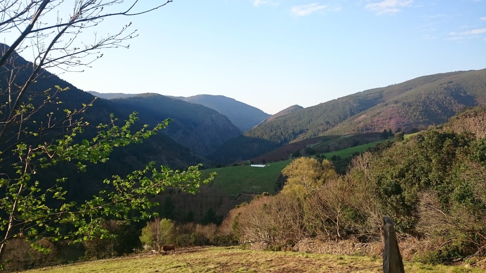 Los tres Embalses del rio Navia. La ruta del Kilowatio - Viajes en ...