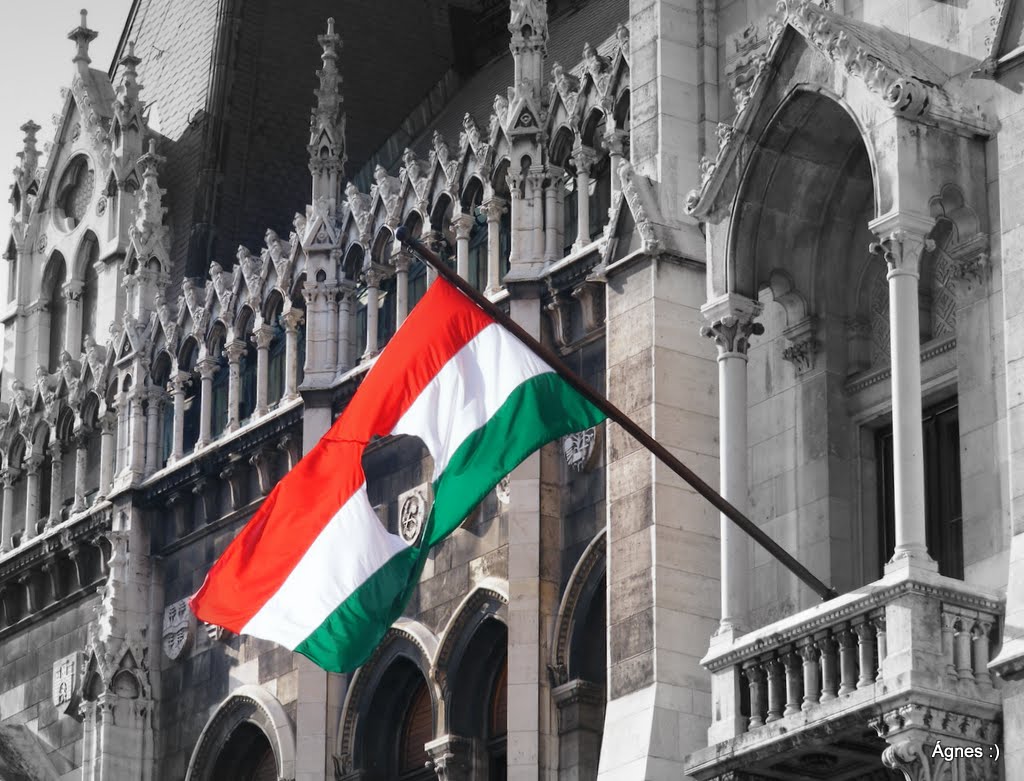 Ágnes:) fotói: 1956. október 23...