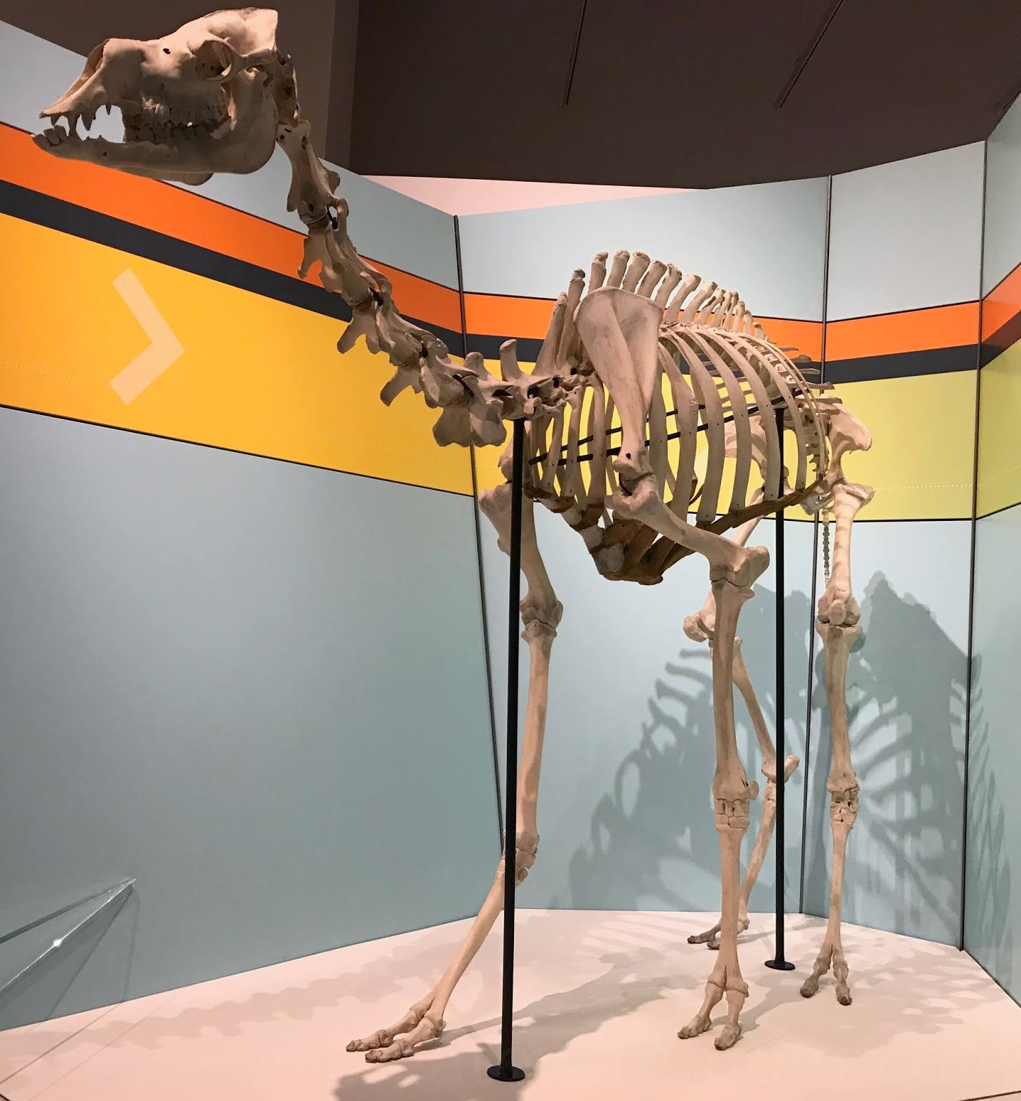 Create With Mom: Canadian Museum of Nature