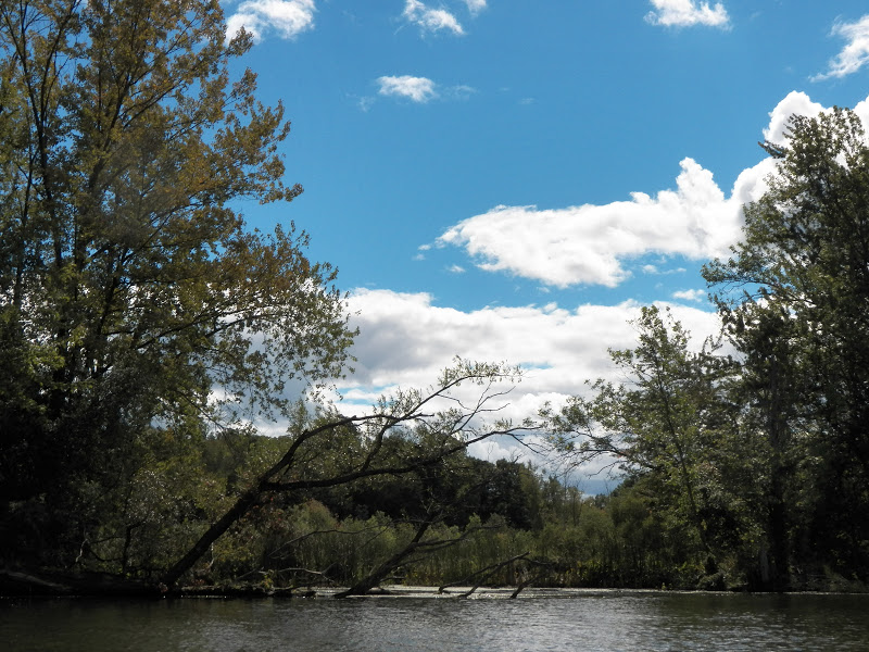 Quiet Kayaking in New York State: Seneca River and Onondaga Lake ...