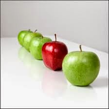 Taller de fotografia