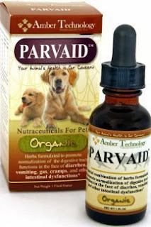 Doxador Puppy Is Sick With Parvo ~ Anze the DoxiePin Dog