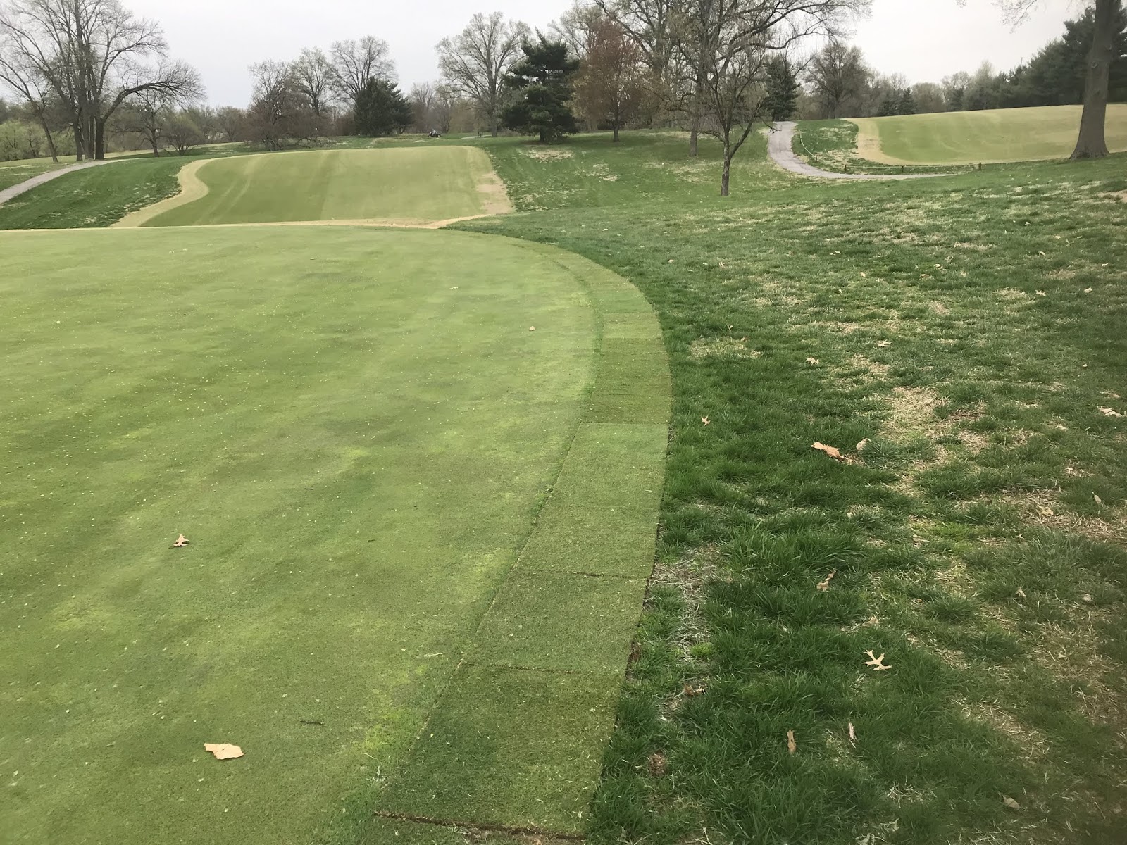 Glen Echo Country Club Golf Course Management: Sodding Zombies