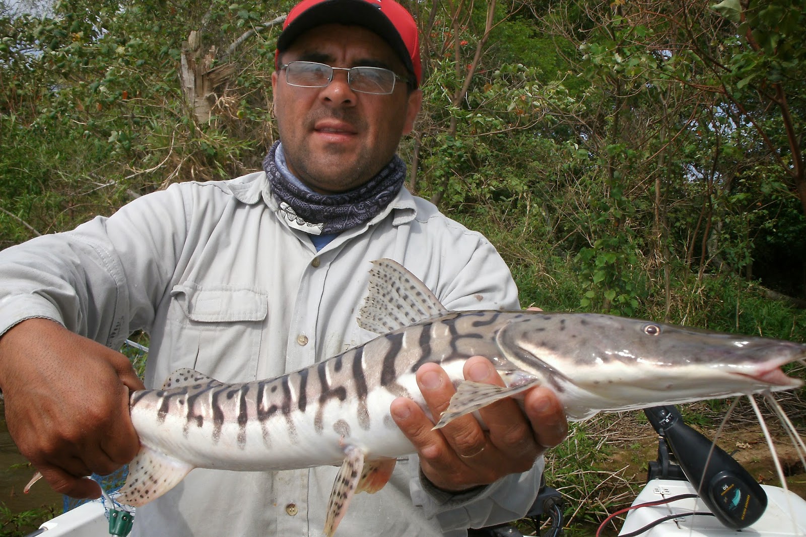 Don Armando Pesca de Javier Pereyra: Previa al Concurso del Surubi