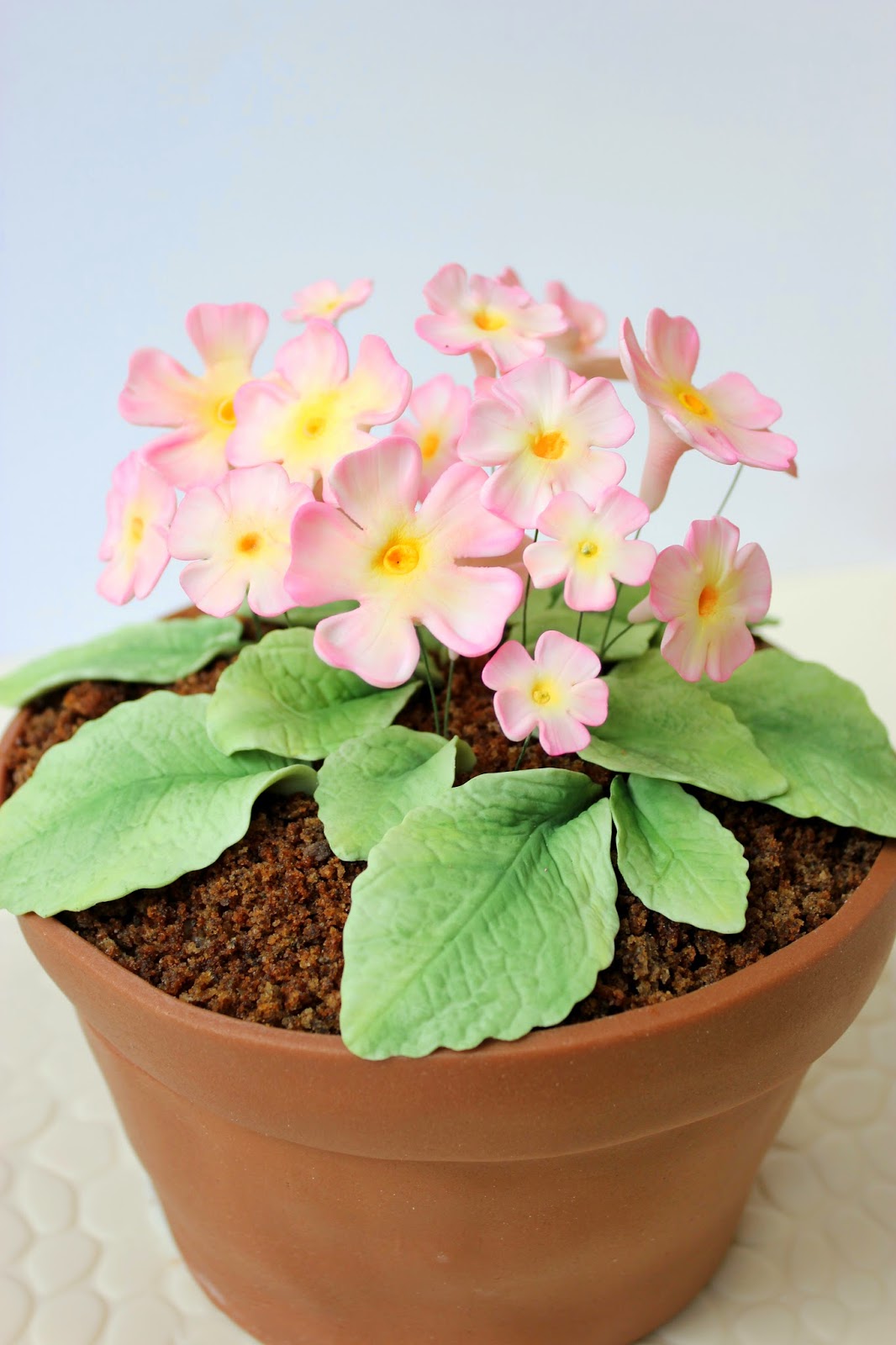 Kiara`s cakes: Tarta decorada "Maceta con flores"