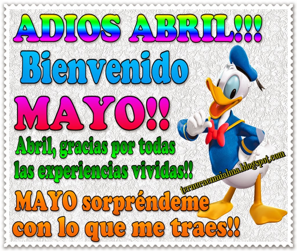 Un Pedacito de mi Corazón para Ti ♥: BIENVENIDO MAYO!!