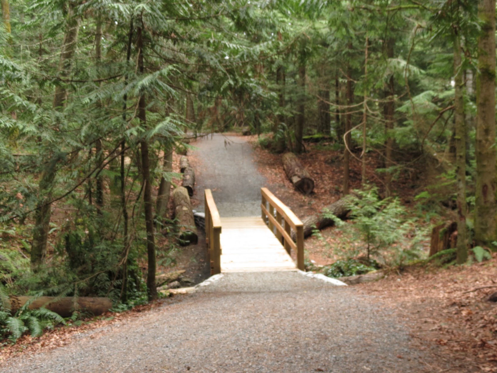 Everything Nanaimo: COLLIERY DAM PARK