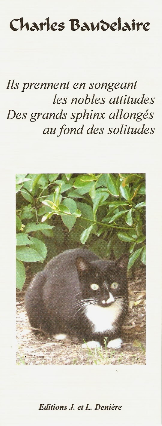 Puntos de luz... (Viva o libro!): Los gatos de Charles Baudelaire