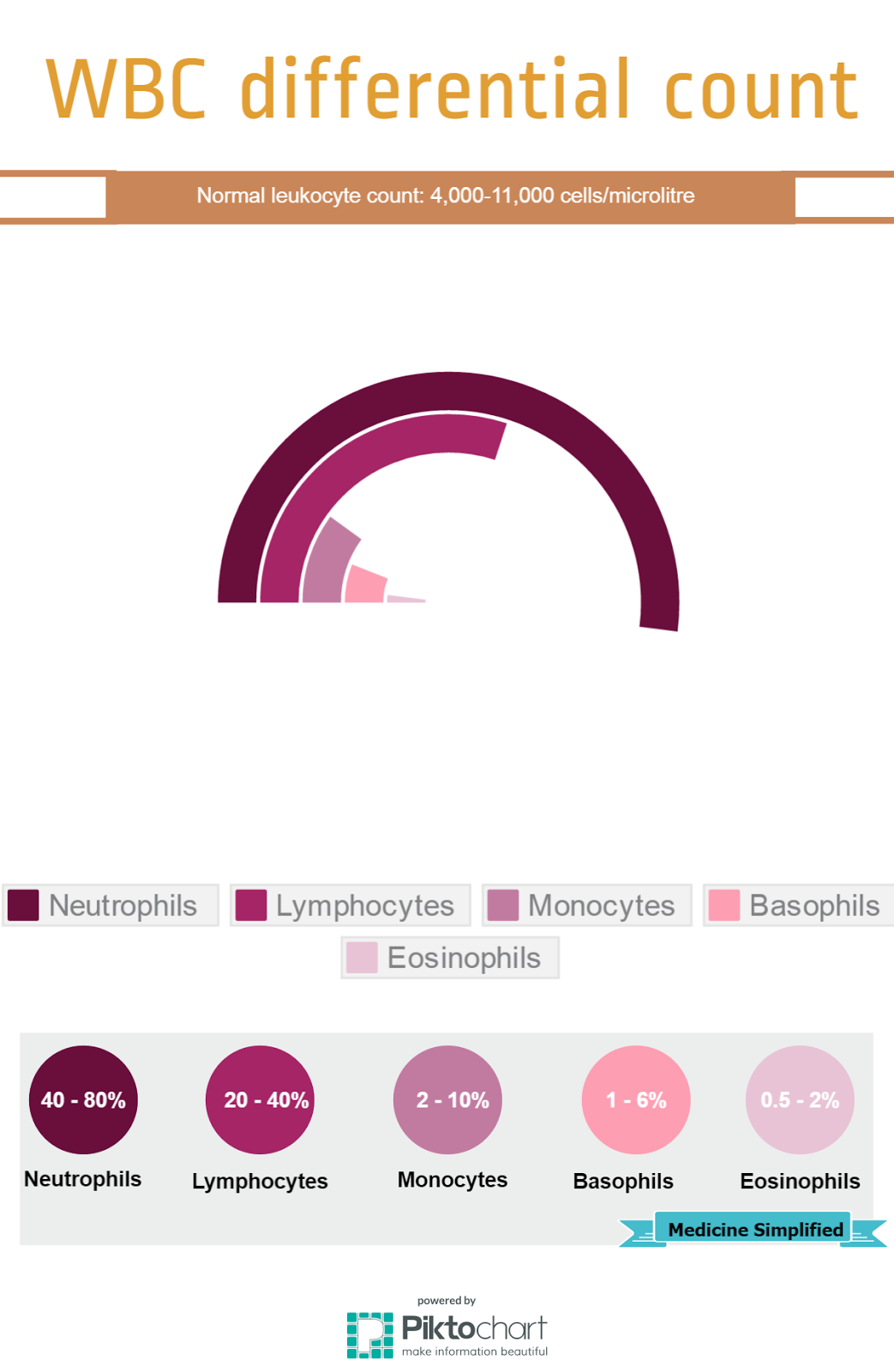 White blood cells... Differential count, an infographic