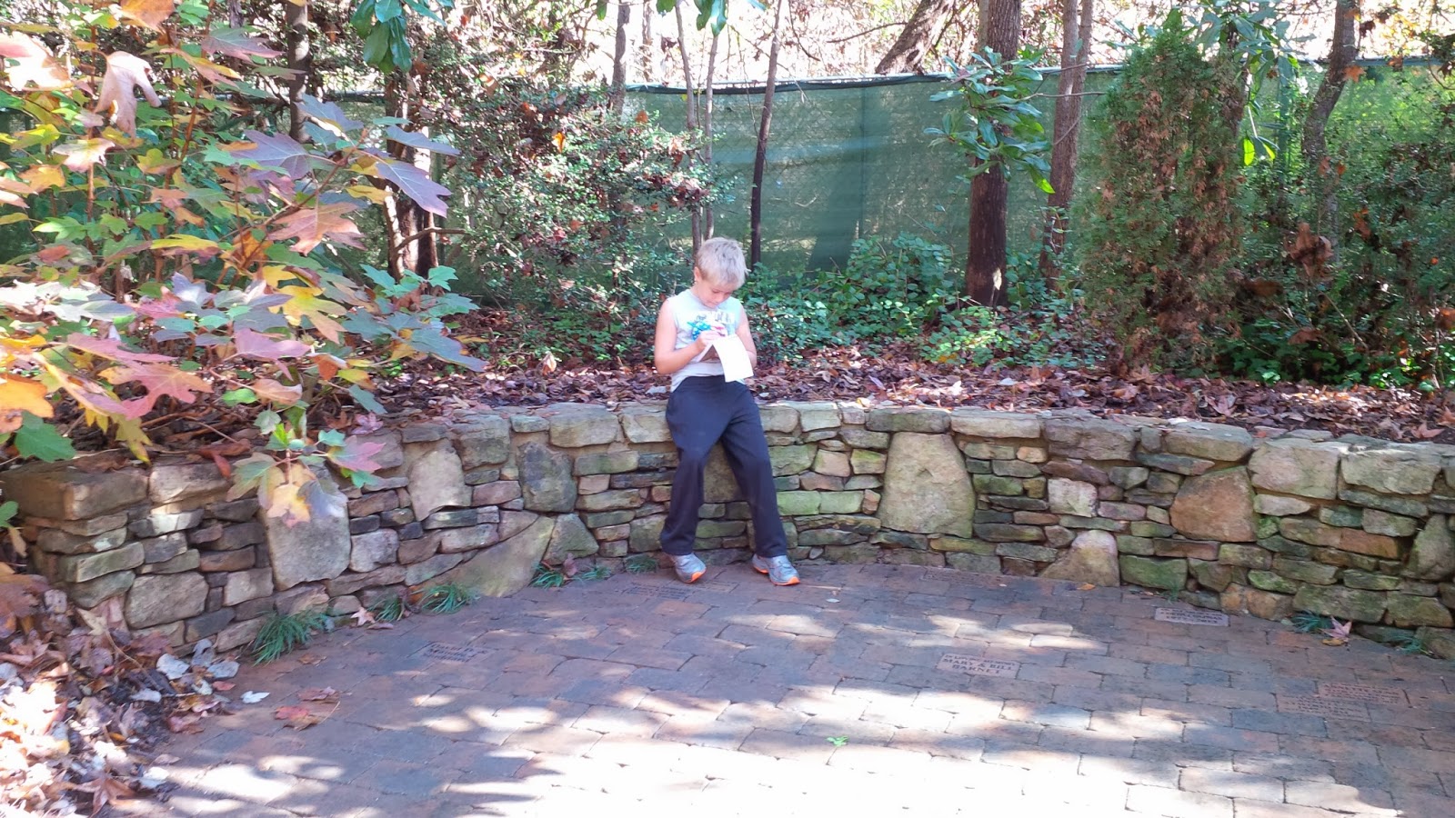 Life as a Homeschool Mom: A Beautiful Day to Walk in Nature: Hatcher ...