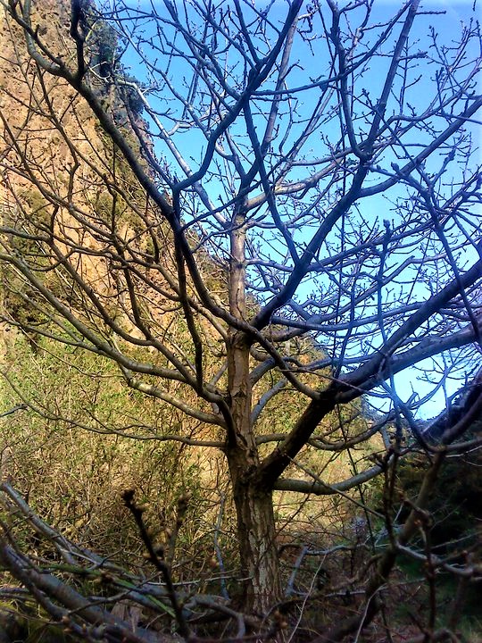 Trev Teasdel Photography: There's Iron in Them Hills - Quarry Great Ayton