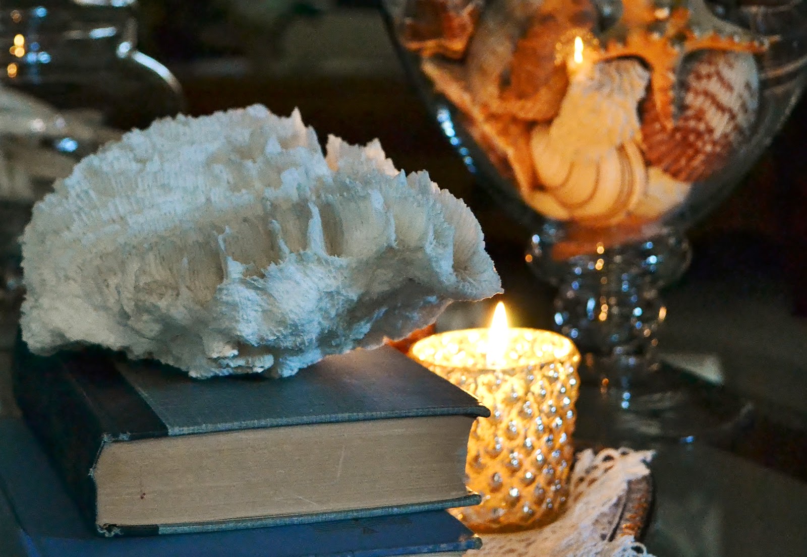 2805: Seashell Convention