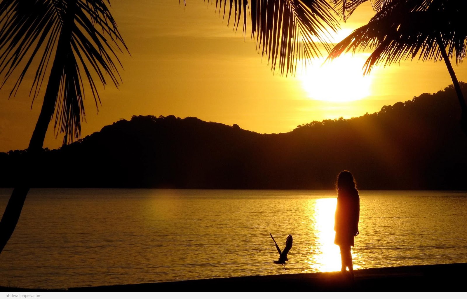 A sunset scene Image ~ VisitNGuide