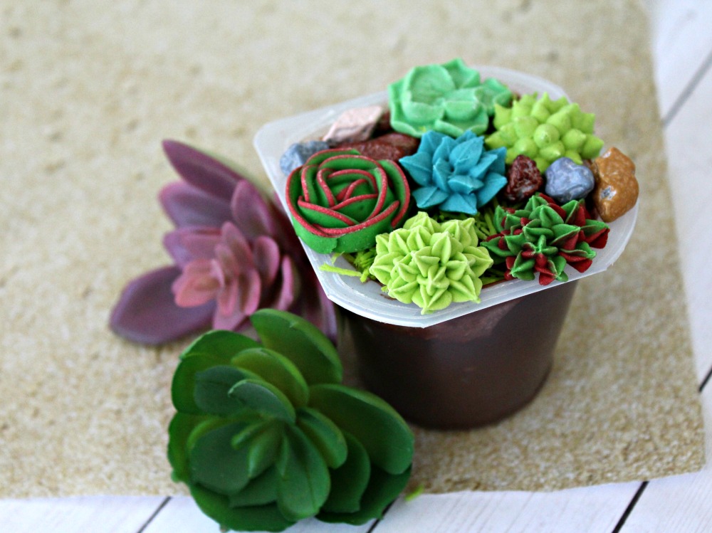 Succulents Pudding Cup Recipe