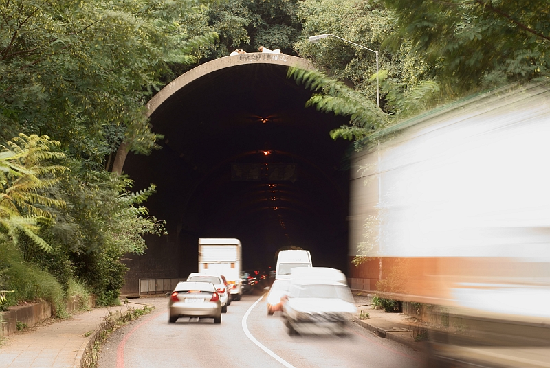 Photographer: The Goats Of Daspoort Tunnel.