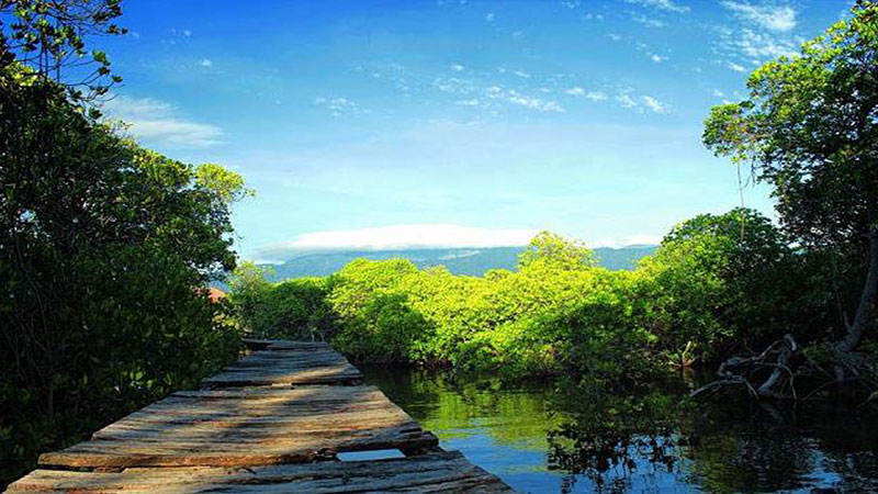 Yuk! Datang ke 3 Objek Wisata Hutan Terpopuler Di Lombok | √ TERMURAH ...