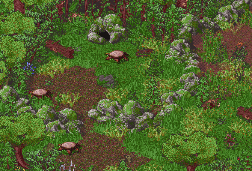 Shadow Fern: Climate & Terrain