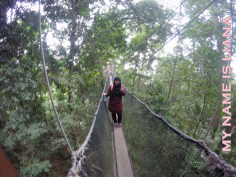 my name is liana: [travelogue] Canopy Walk & Poring Hot Spring, Ranau ...