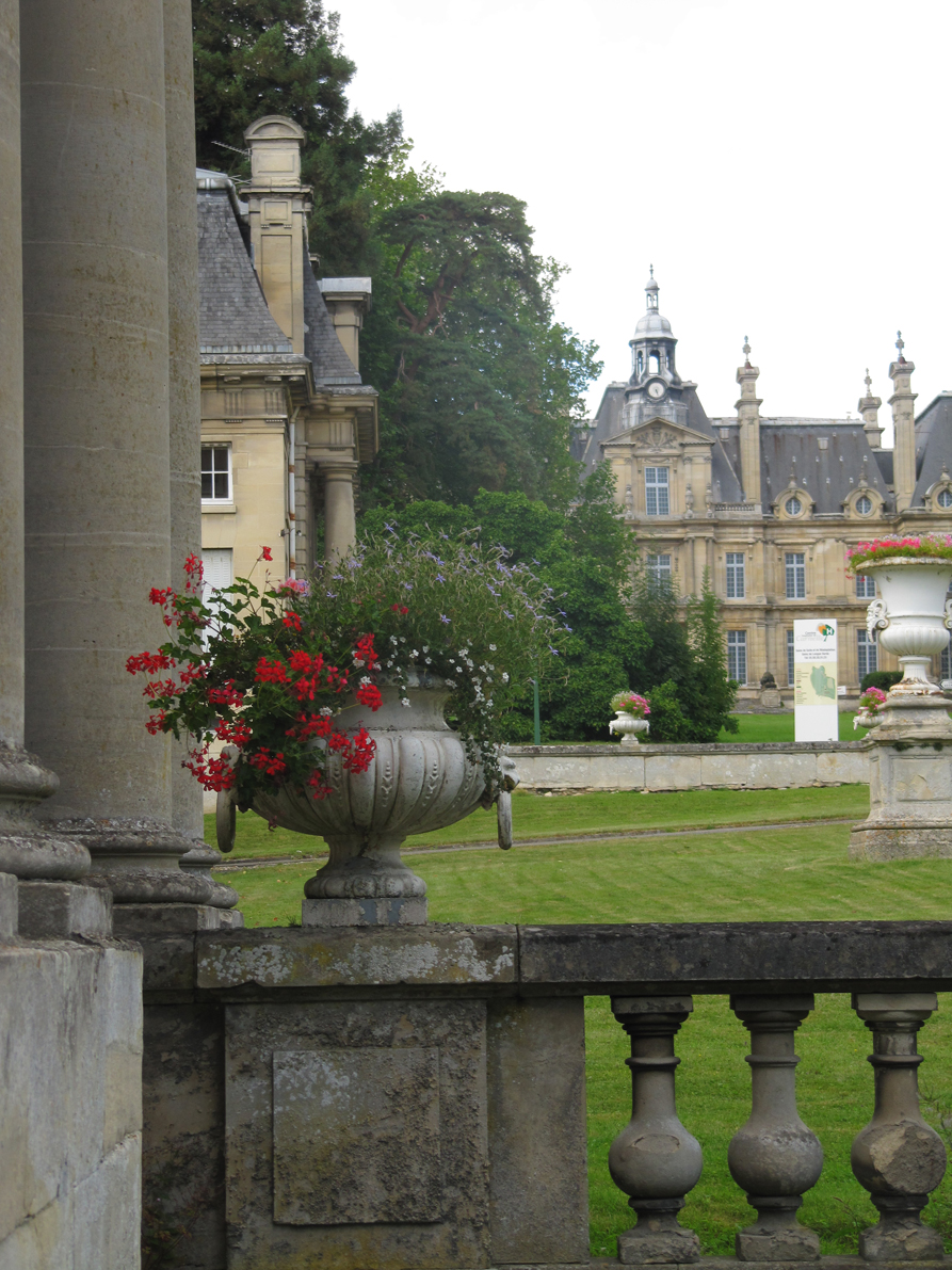 paradis express: Forêt de Carnelle