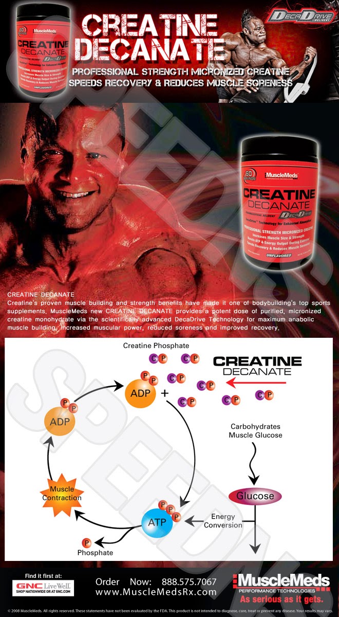SPEEDNS (스피드엔에스): 헬스보충제 크레아틴 CREATINE - MuscleMeds CREATINE DECANATE ...