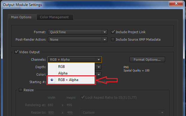 All Alpha channel Codec In Adobe After Effects CC