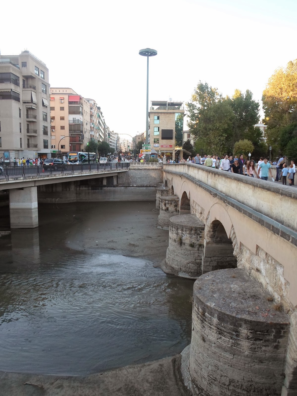 Lugares de Granada con encanto. : Puente Romano de Granada sobre el río ...